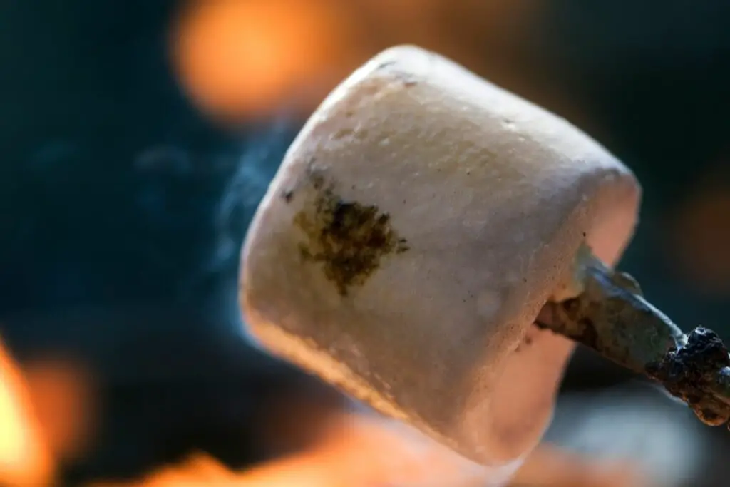 How To Melt Marshmallows